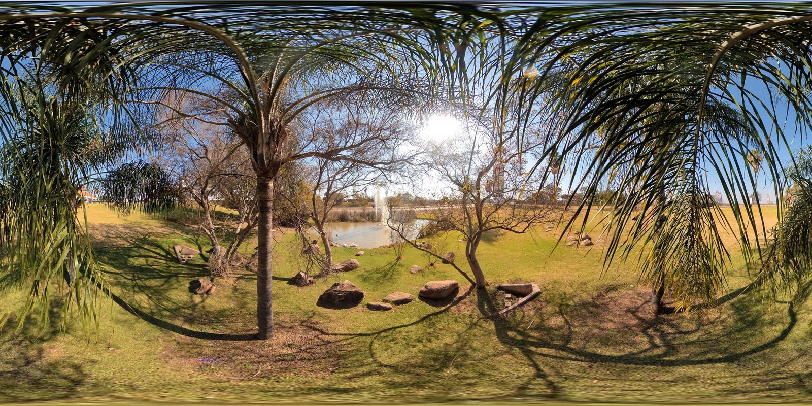 360 degree photos – Dr. Bragi Þór Valsson – Musician